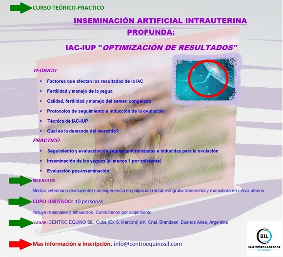 Inseminación artificial intrauterina profunda. | Engormix