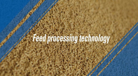 The effect of feed processing technology on the safety of feed | Engormix