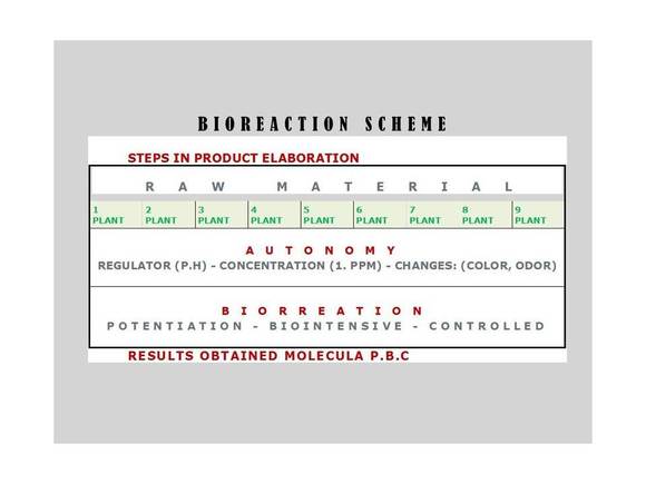 BIOREACTION SCHENE | Engormix