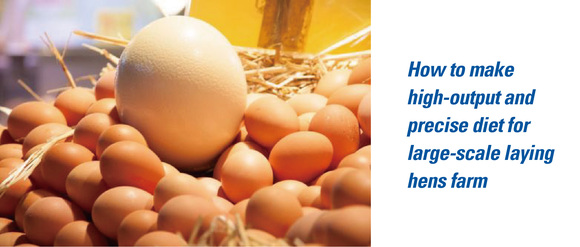 How to make high-output and precise diet for large-scale laying hens ...