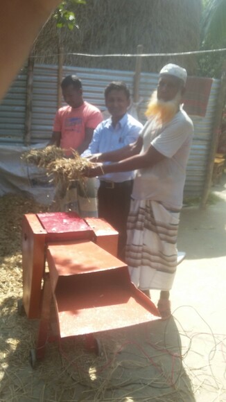 Vaue addition to rice straw for dairy production in Bangladesh | Engormix