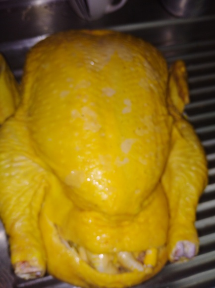 Pollo semicriollo | Engormix