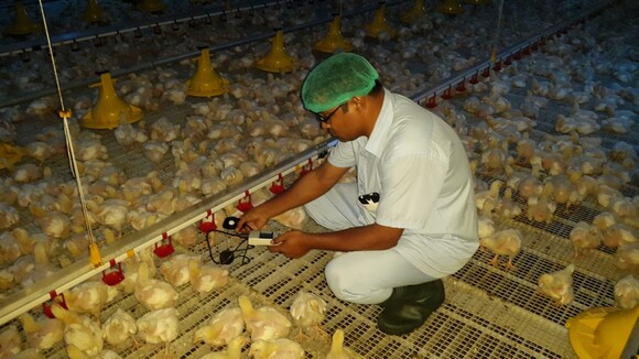 poultry Specialist | Engormix