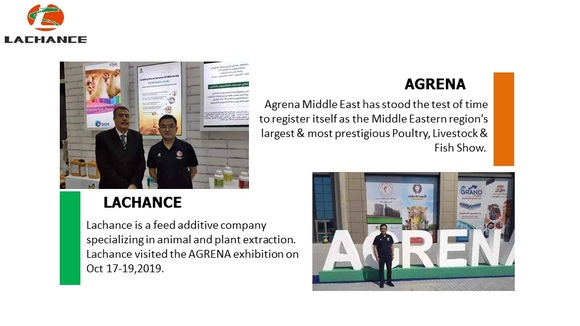 Lachance in Agrena | Engormix