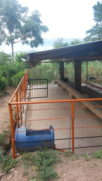 Establo clima medio, colombia | Engormix