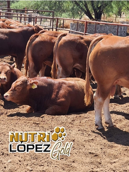 Sal mineral NUTRILOPEZ | Engormix