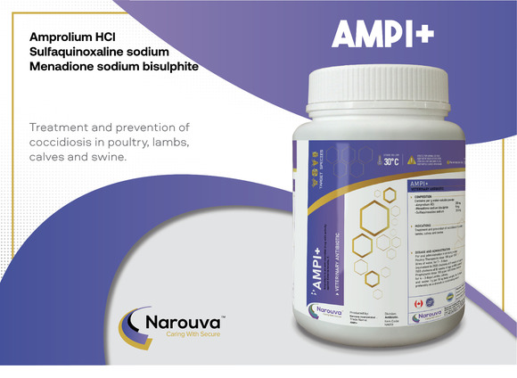 Antibiotic AMPI + | Engormix