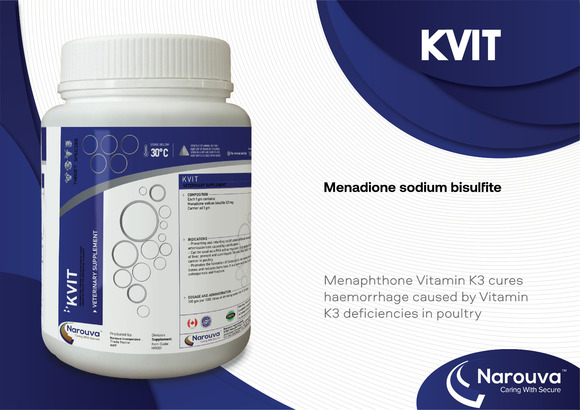 Supplement KVIT | Engormix