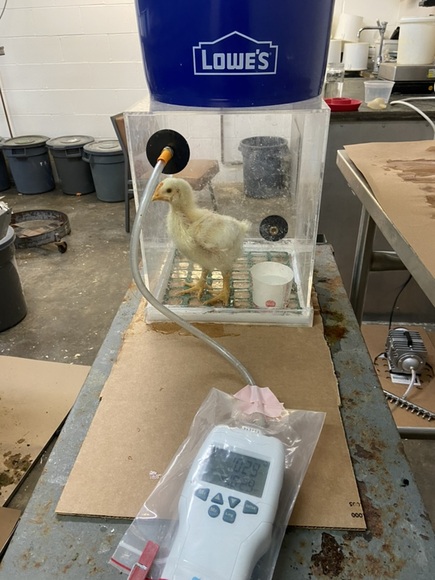 Estimation of CO2 emission from chickens using self made CO2 gas ...