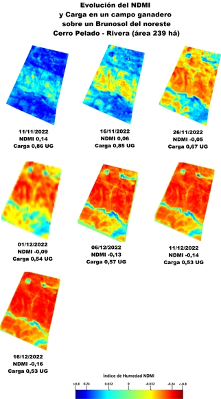 Evolución del Índice de Humedad - NDMI | Engormix