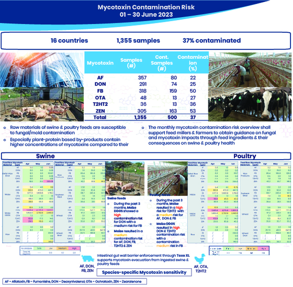 Analyzing mycotoxin risk contamination around the world from June ...