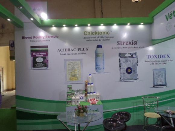 Stall view | Engormix