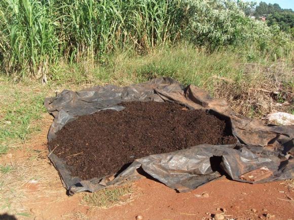 Compost terminado (45/60 días) | Engormix