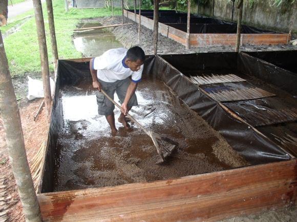 Fermentasi | Engormix