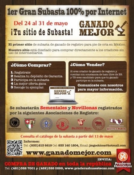 Subasta en linea Ganado Mejor | Engormix