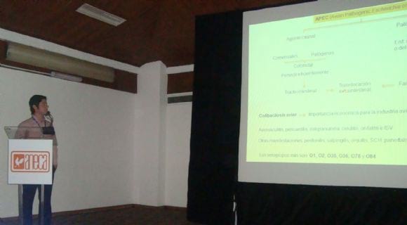 Estandarización de la técnica de ELISA | Engormix