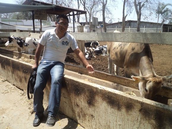 Establo unalm | Engormix