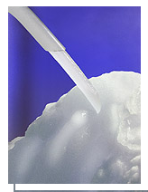 producción 3 | Engormix