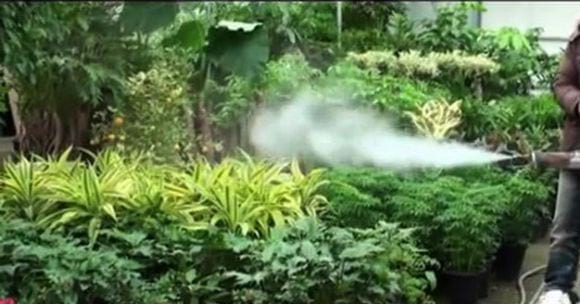 Termonebulizadores Mini Smart Fogger | Engormix