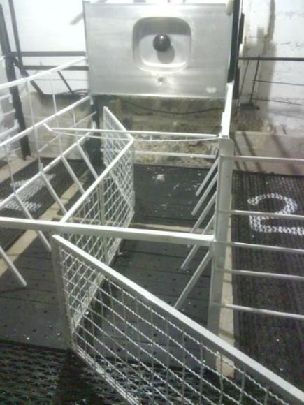 Parideras | Engormix