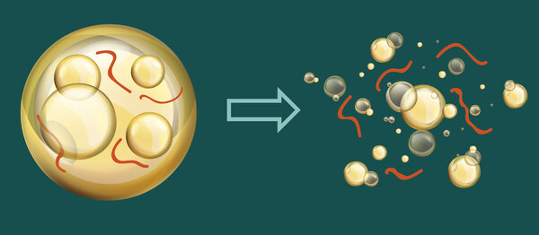 Lysoforte Extend surfactante para gado leiteiro