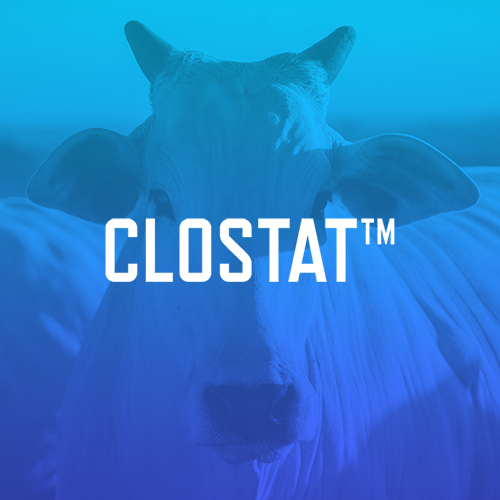 Kemin do Brasil: Produtos (36739)