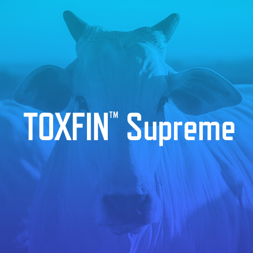 Kemin do Brasil: Produtos (36746)