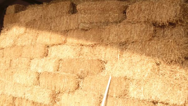 Pacas - Fardos - Silos en productos para Ganadería en Engormix