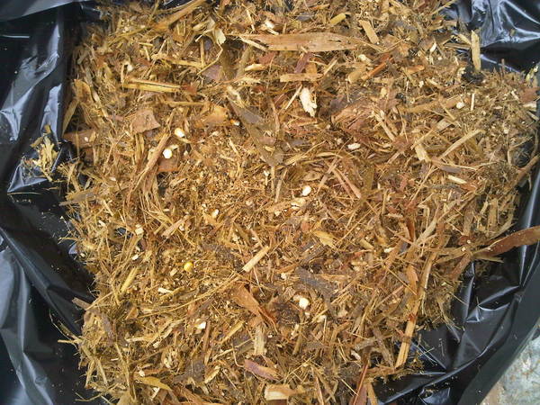 Pacas - Fardos - Silos en productos para Ganadería en Engormix