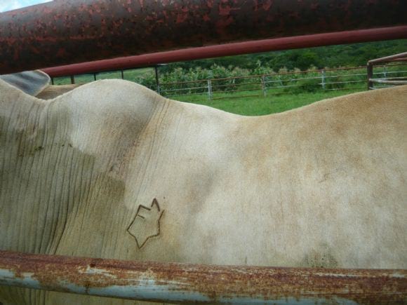 pignorado. Ref: 20033