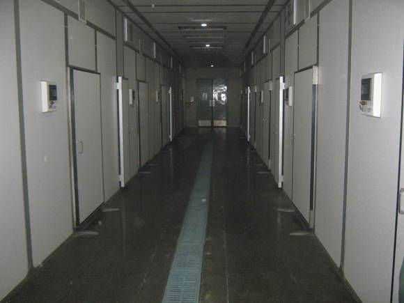 Setter room view of a commercial hatchery. Ref: 32675