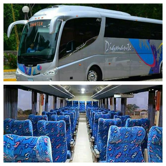 AUTOBUSES DE LUJO. Ref: 52484