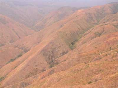 Sistemas de producción agroforestal de ultisoles del pie de monte de ...