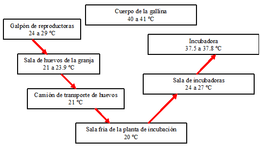 Huevo incubable | Engormix