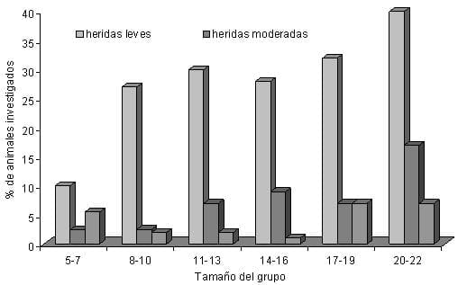 El Bienestar Animal aplicado al conejo. Parte 1: Sistemas de manejo ...
