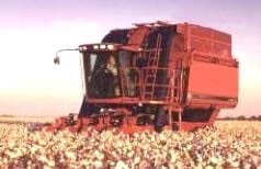 Cosechadoras de Algodón Case IH Cotton Express | Engormix