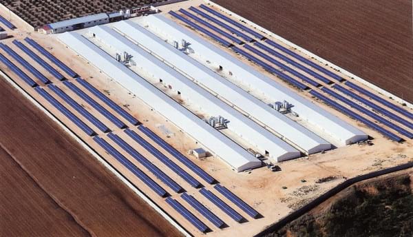 España - Granja de broilers usa el 100% de energía verde | Engormix