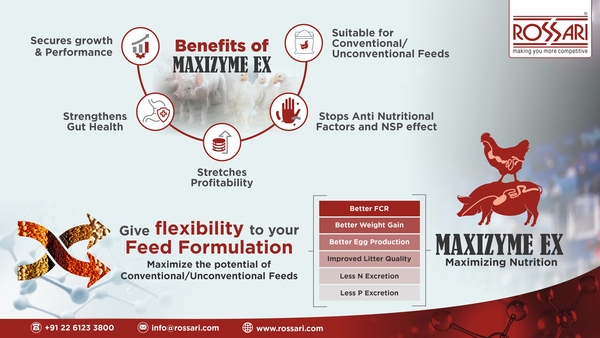 Maximize the Digestibility potential of Conventional/Unconventional ...