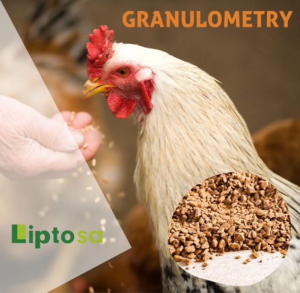 Granulometría precisa para la eficiencia alimenticia de las aves | Engormix