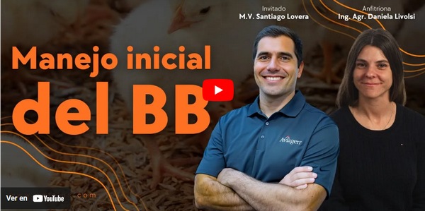 Avipodcast #49 - Manejo inicial del pollito BB | Engormix