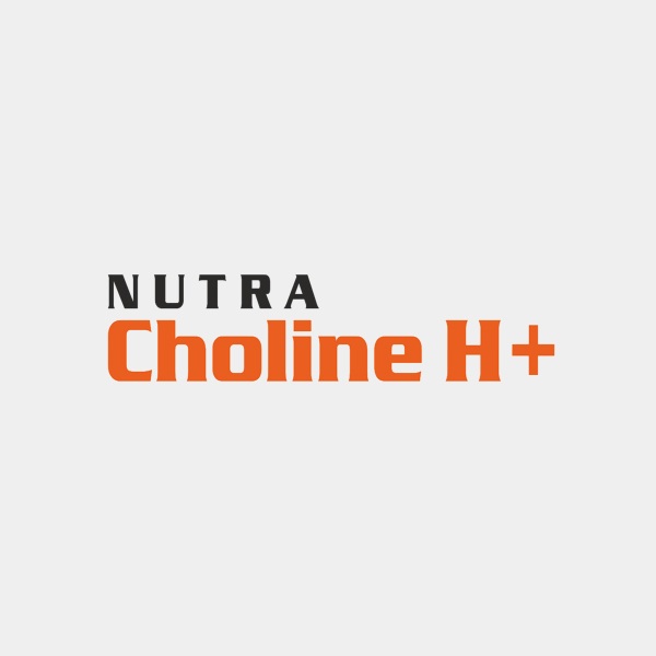 NUTRA CHOLINE H+® fuente natural de colina para aves y cerdos