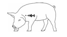 Iron-Dex 200® B12 Hierro dextrano vitamina para bovinos y porcinos