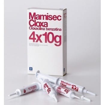 LIVISTO: Productos (25559)