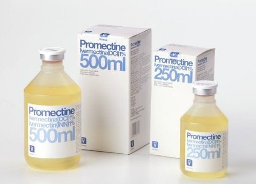 LIVISTO: Productos (25581)