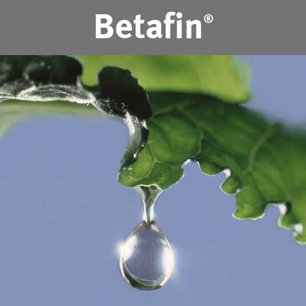 Danisco Animal Nutrition (parte de DuPont): Productos (26985)