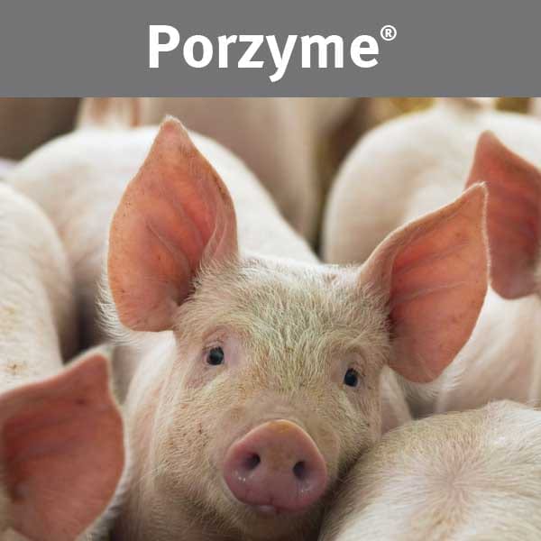 Danisco Animal Nutrition (parte de DuPont): Productos (26991)