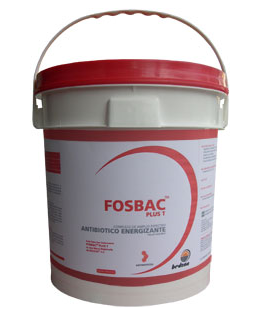 Bedson: Productos (27340)