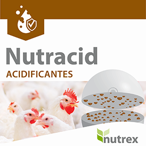 Nutracid Intestim acidificante para la flora intestinal de cerdos