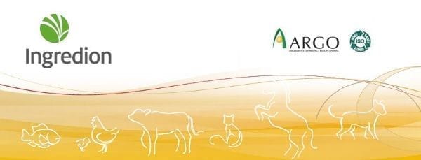 Ingredion: Productos (29538)