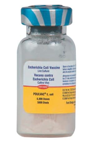 PRONACA: Productos (30340)